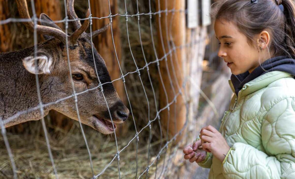 The Top 7 Must-Visit Zoos In London