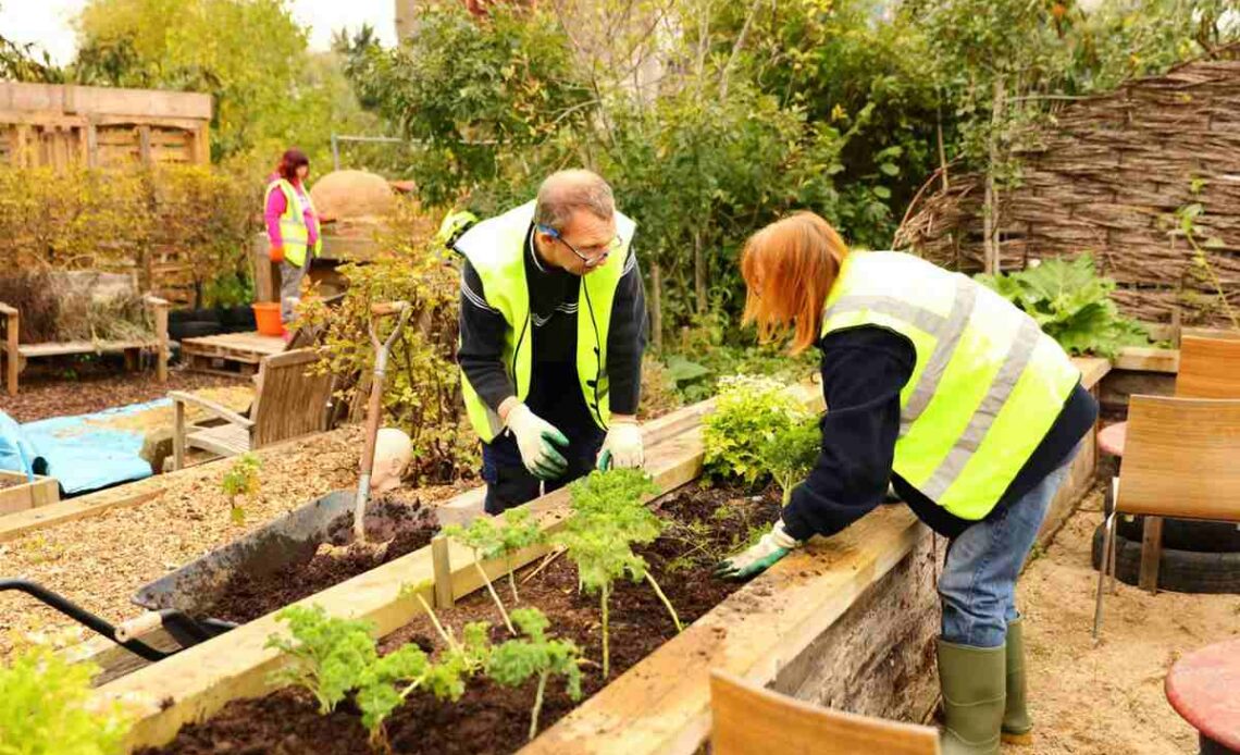 Best Gardening Services in London: Transforming Urban Oasis