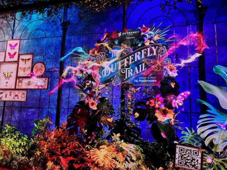 All You Need to Know About the Fun Butterfly Trail in London